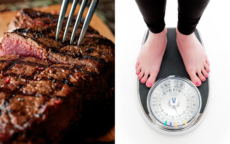 How Long Does It Take to See Results on Carnivore? A Realistic Timeline ...